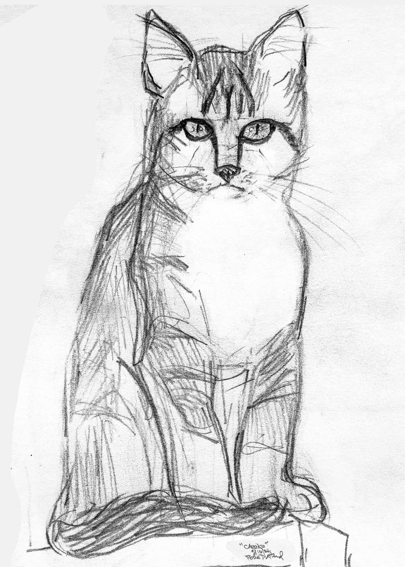 Drawings – peterdustrud.com